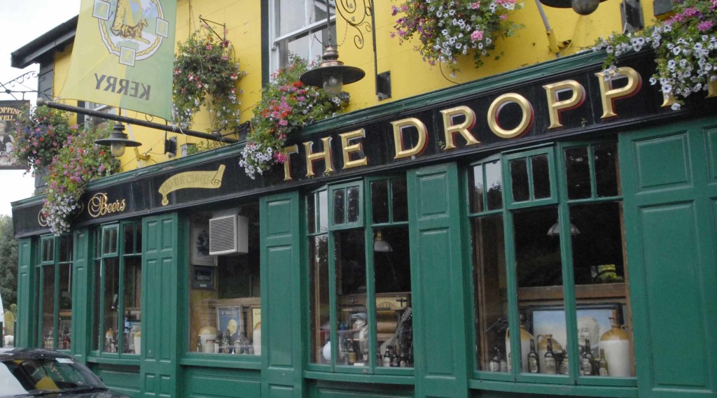 Dropping Well ups profit – Drinks Industry Ireland