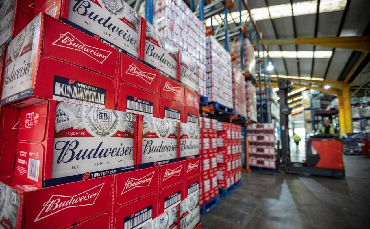 Budweiser launches major new marketing campaign – Drinks Industry Ireland