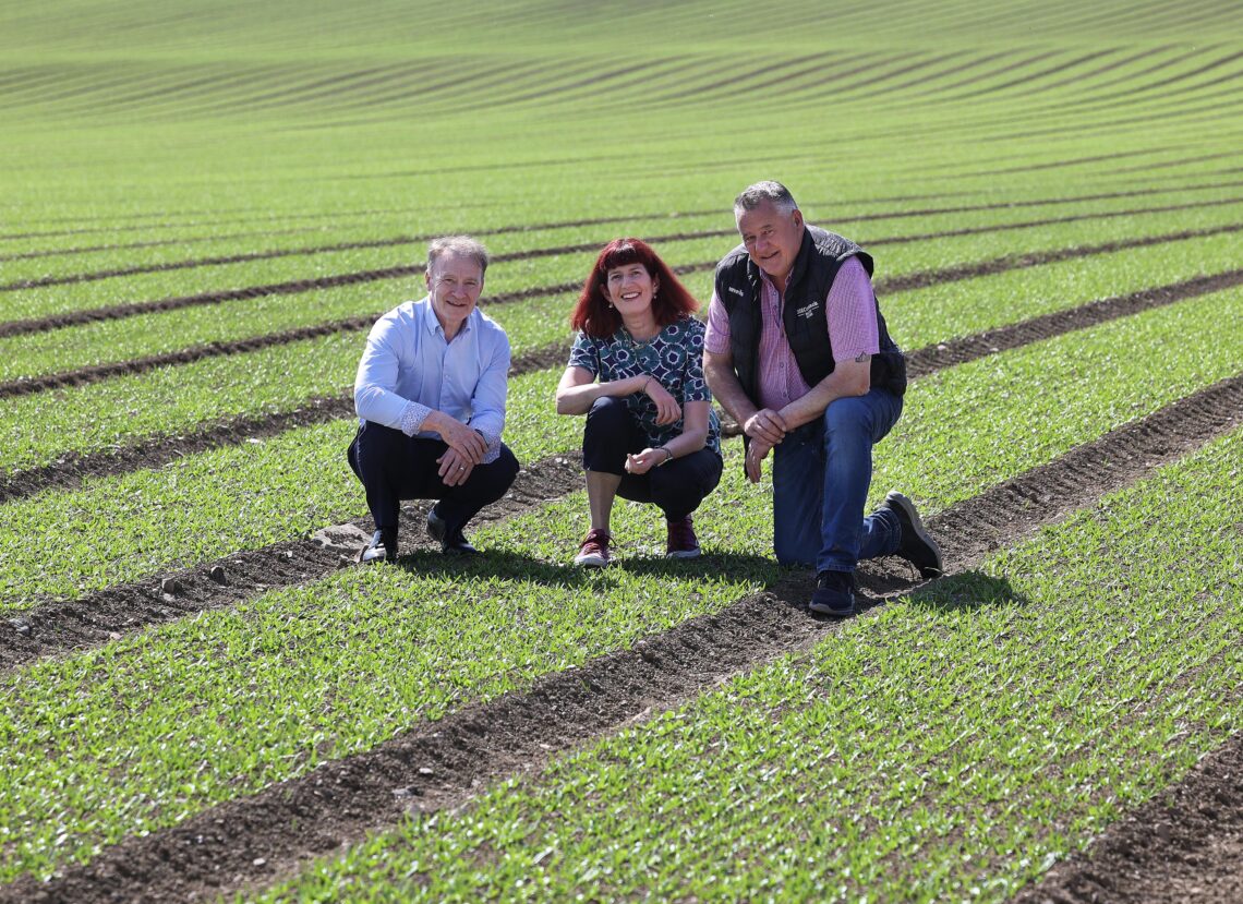 66% of Irish food businesses plan to invest in enhancing operations ...